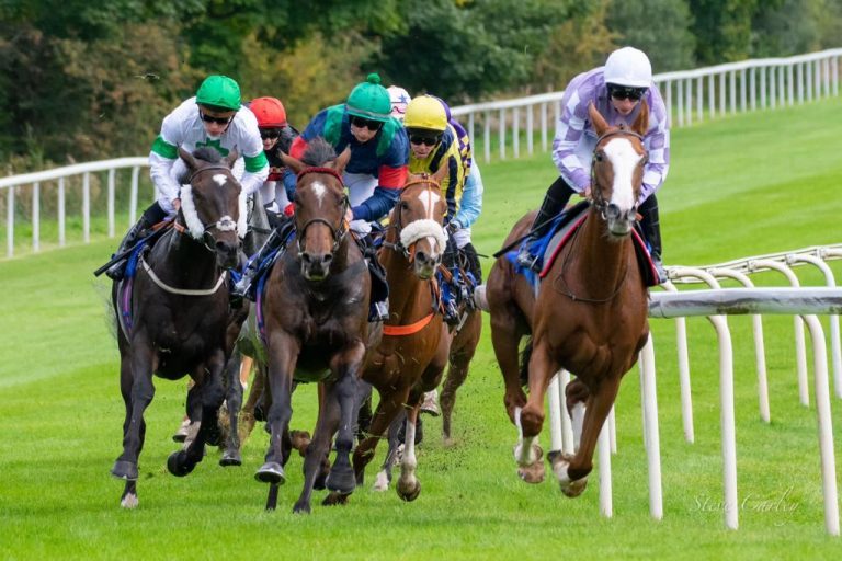 A flat winner and jumping ahead – Ruth Jefferson Racing Ltd